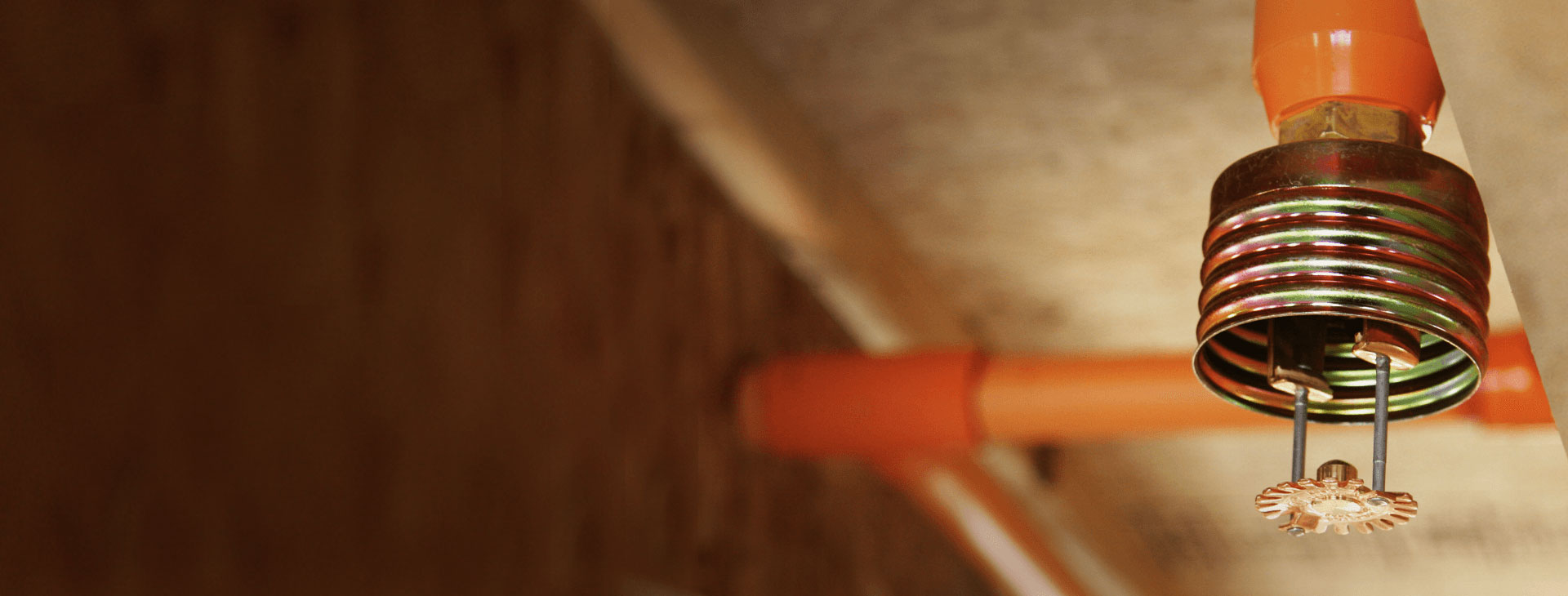 Tyco CPVC Products | Tyco Fire Protection Products